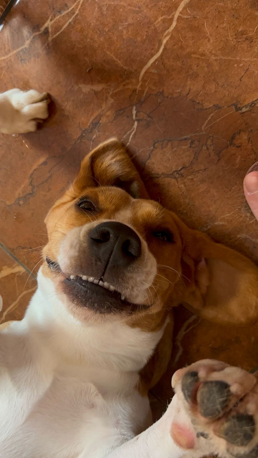 @alejandroRobo46 (Alejandro Rolon) | The Construct